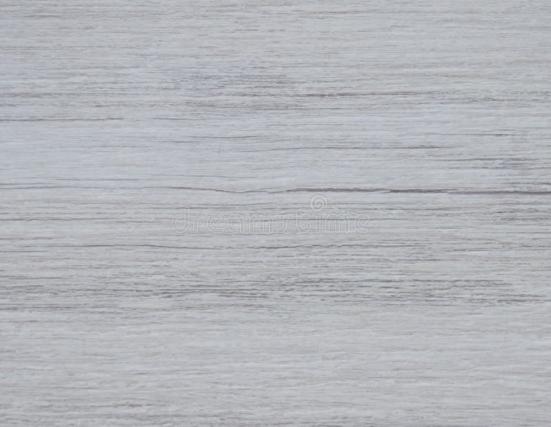 Bleached Oak, Natural Wood Texture Close-up on a Cut. Background. Close ...