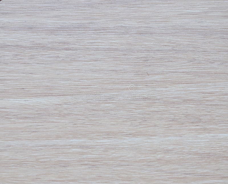 Bleached Oak, Natural Wood Texture Close-up on a Cut. Background. Close ...