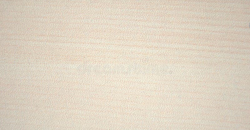 Bleached Oak, Natural Wood, Texture of the Picture on a Slice Closeup ...