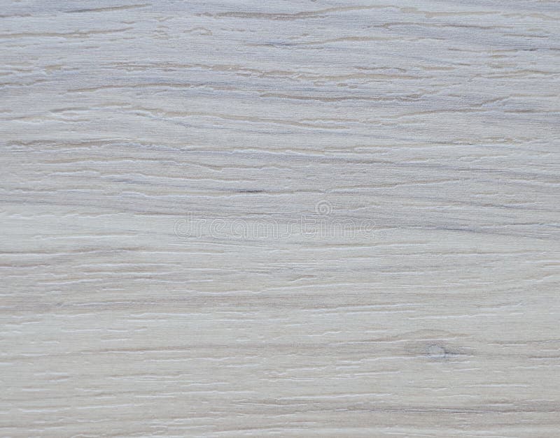 Bleached Oak, Texture of Natural Light Wood Close-up Stock Photo ...
