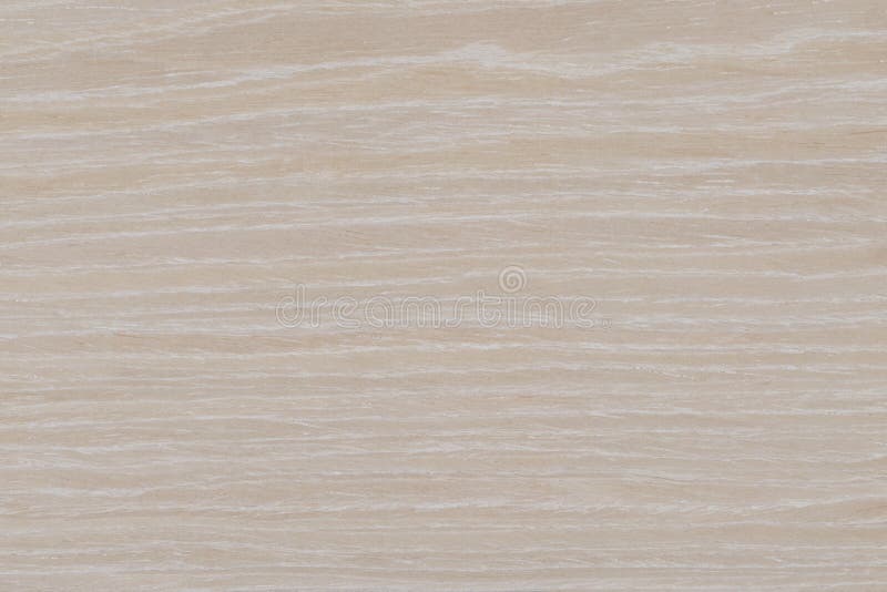 Bleached Oak Wood Background Stock Image - Image of interior, retro ...
