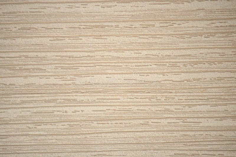 Bleached Walnut, Polished Surface of Natural Light Wood Close-up Stock ...