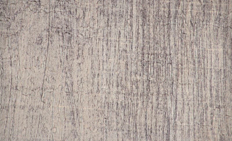 Bleached Wenge Walnut, Flat Surface of Natural Wood with Vertical ...