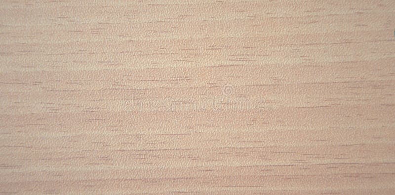Bleached Wood, Natural Drawing Close-up. Background, Texture, Close Up ...