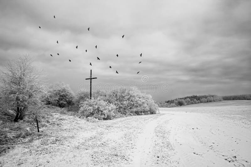 Bleak stock photo. Image of english, bleak, printed - 114404954