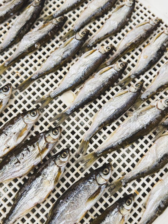 Bleak Fish is Dried in a Dryer. Background Stock Photo - Image of ...