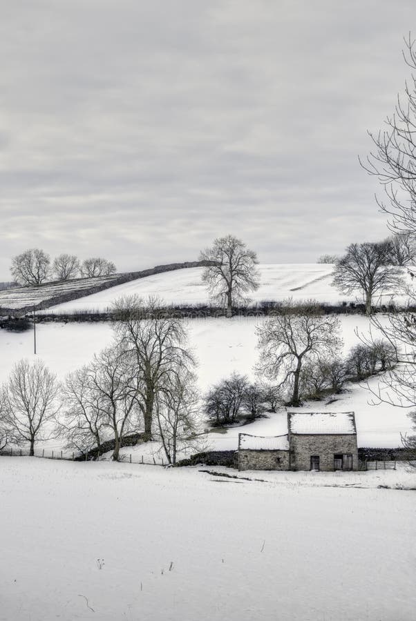 Bleak winter countryside stock image. Image of frozen - 8461869