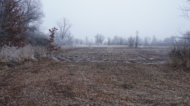 Bleak Winter Landscape Near Chiemsee Stock Image - Image of winter ...