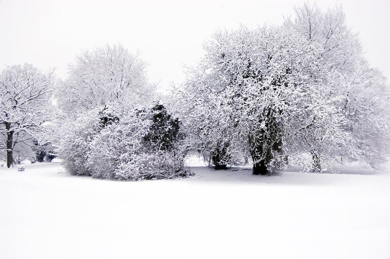 Bleak Winter Snow Scene stock image. Image of snow, deep - 12415277