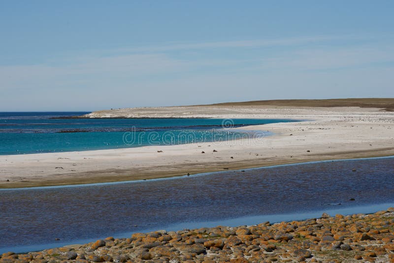Bleaker Island - Falkland Islands Stock Photo - Image of ocean, great ...