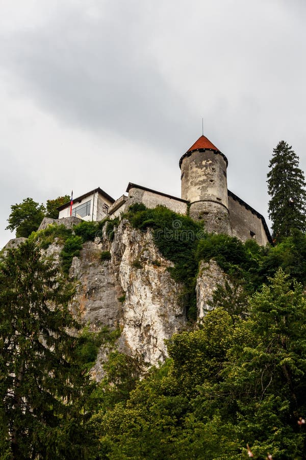 Bled Castle Blejski Grad in Bled Stock Photo - Image of citadel ...
