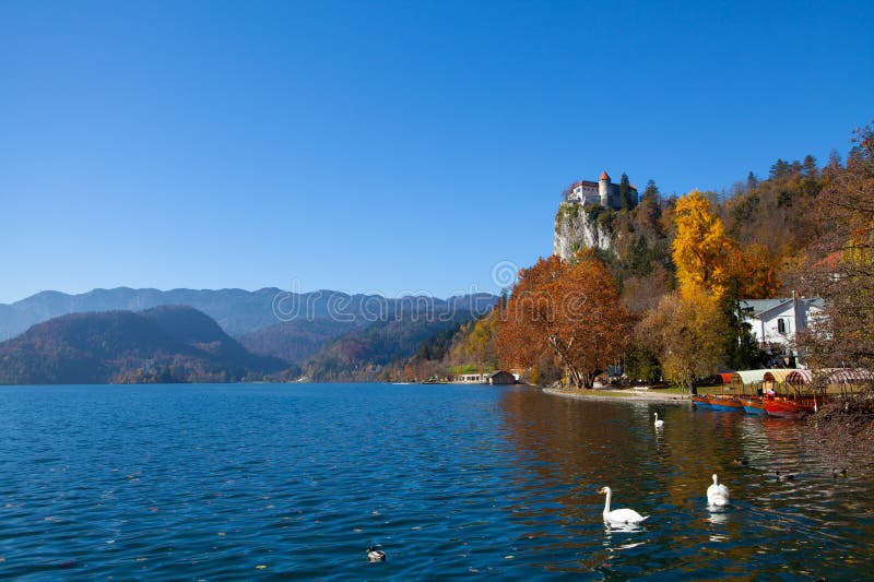 Bled Castle Built on Top of a Cliff Overlooking Lake Bled, Located in ...