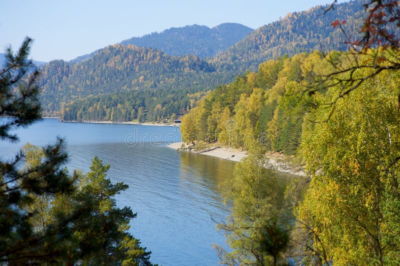 Bled lake pebble beach stock image. Image of nature, pine - 82577625