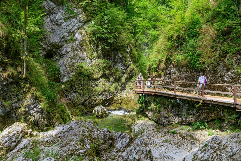 Vintgar Bled Gorge in Layered Rocks Editorial Stock Photo - Image of ...