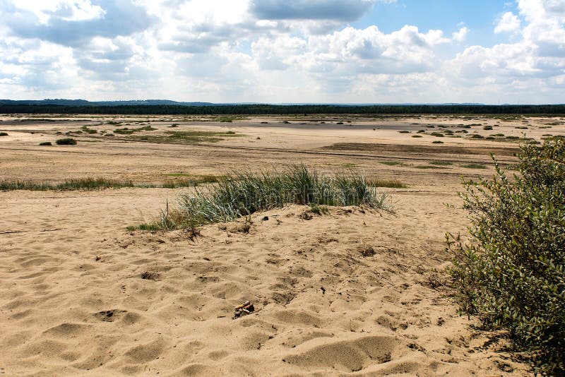Bledowska Desert (Poland) stock photo. Image of sand - 75803704
