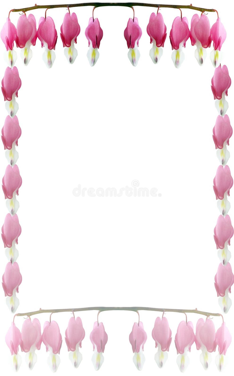 Fuschia Frame Stock Illustrations – 31 Fuschia Frame Stock ...