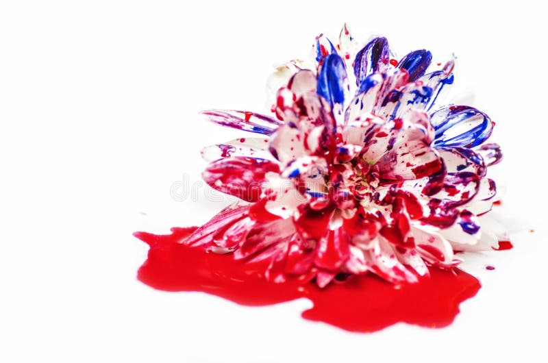 Bleeding Painted Flower stock image. Image of colourful - 38831195
