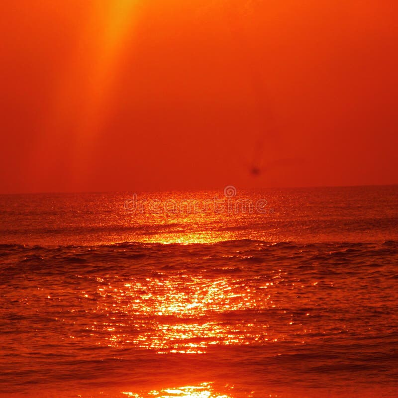 Bleeding Water Under Burning Sun Stock Photo - Image of bleeding, water ...