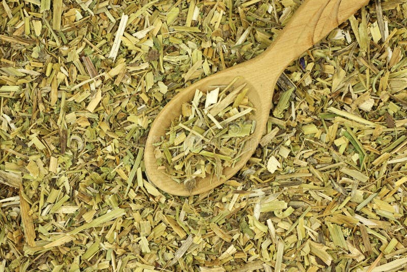 Blend of Herbs in a Wooden Spoon Stock Photo - Image of ecology, spoon ...