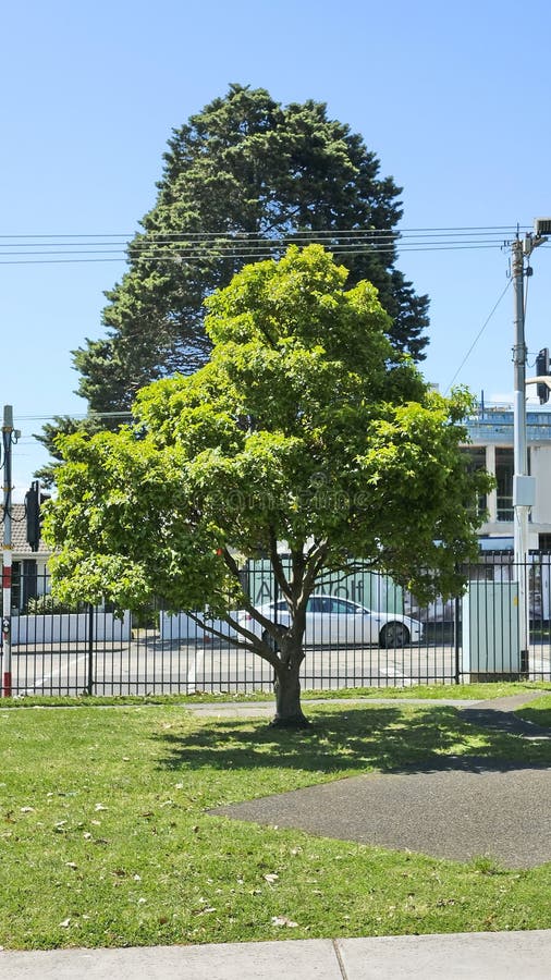 A Blend of Nature and Community Discovered in Everyday Landscapes Stock ...