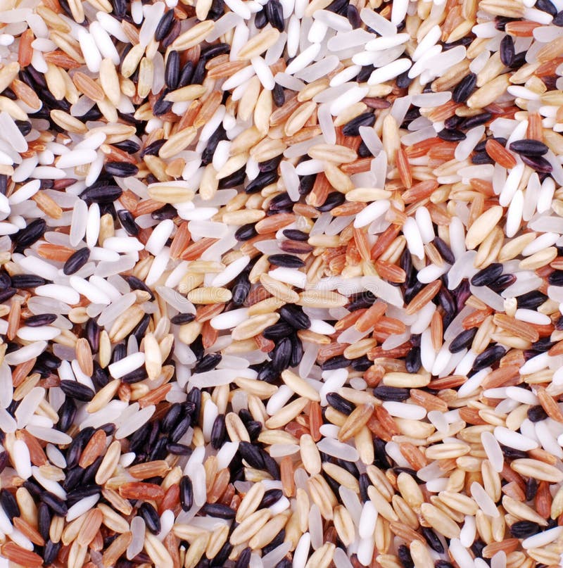 Blended rice stock image. Image of diet, background, food - 7962635