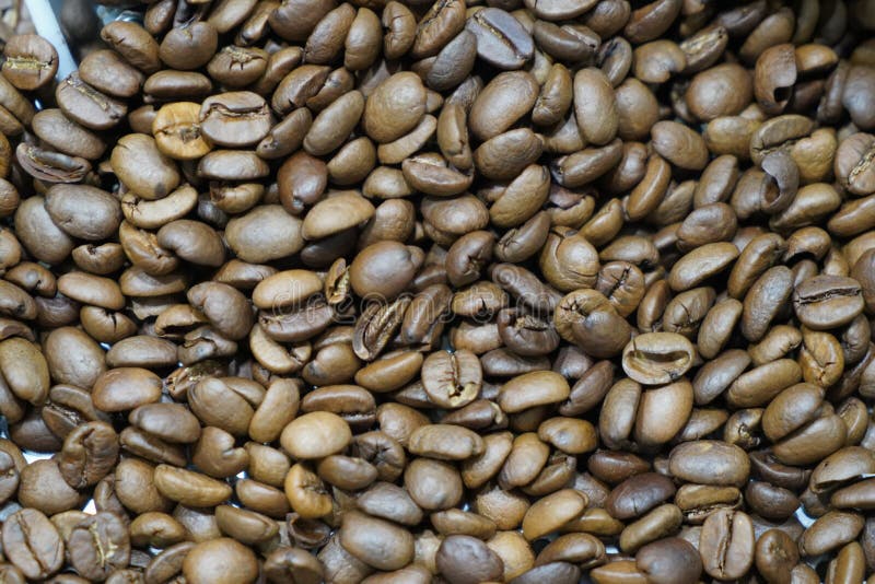 Coffee Beans Inside Coffee Maker Stock Photo - Image of drink, fresh ...