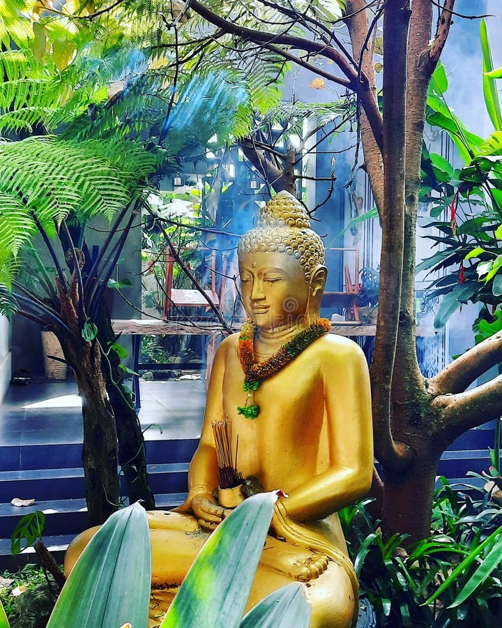Blesswdbuddha Stock Photos - Free & Royalty-Free Stock Photos from ...