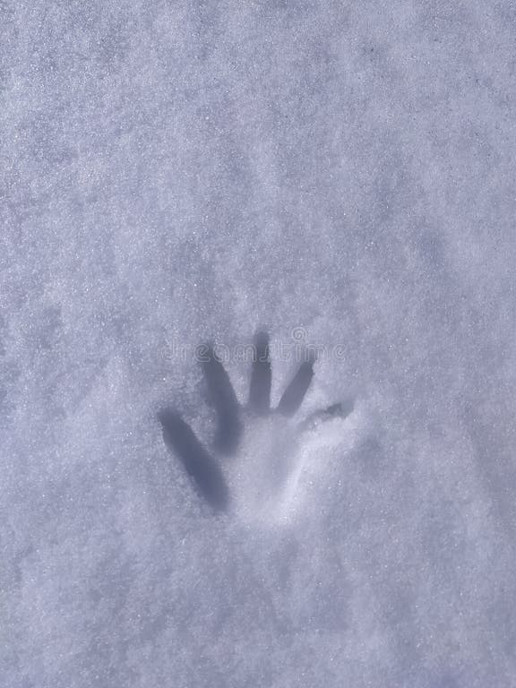 Blessed stock photo. Image of ways, fall, blessing, snow - 174618582