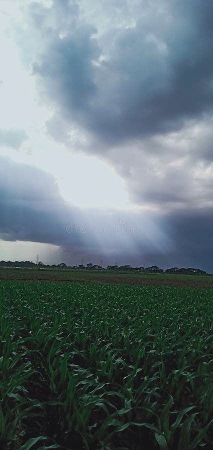 Blessed Nature in the Fields Stock Image - Image of awsome, blessing ...