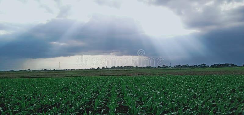 Blessed Nature in the Fields Stock Photo - Image of time, fields: 191141026