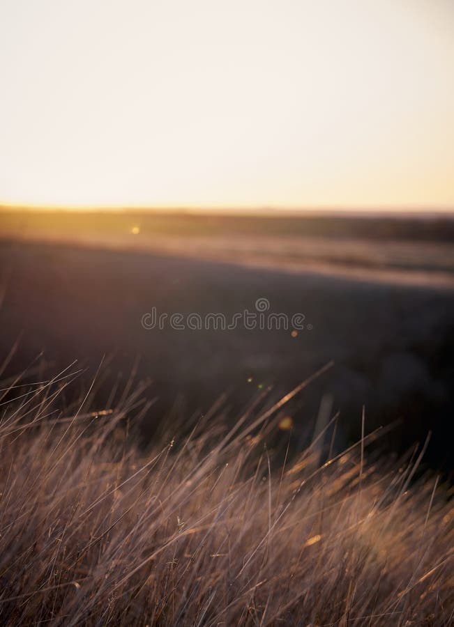 Blessed in the sunlight stock photo. Image of blessed - 287459266