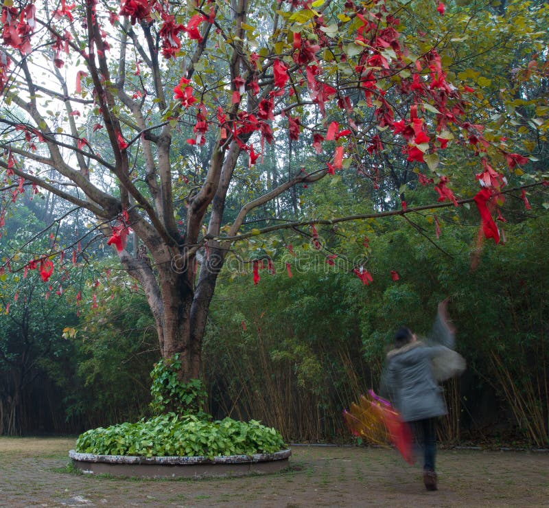 Blessing tree stock image. Image of ribbons, festival - 23233747
