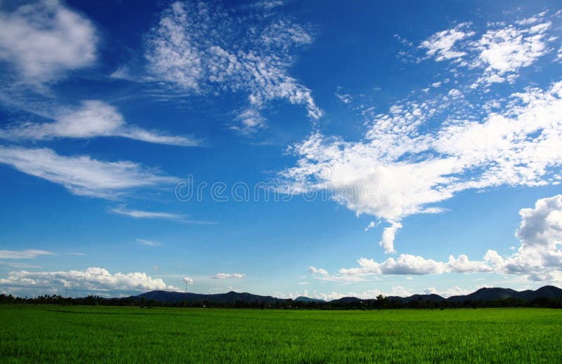 Blue cloudy sky stock photo. Image of environment, cumulus - 14637820