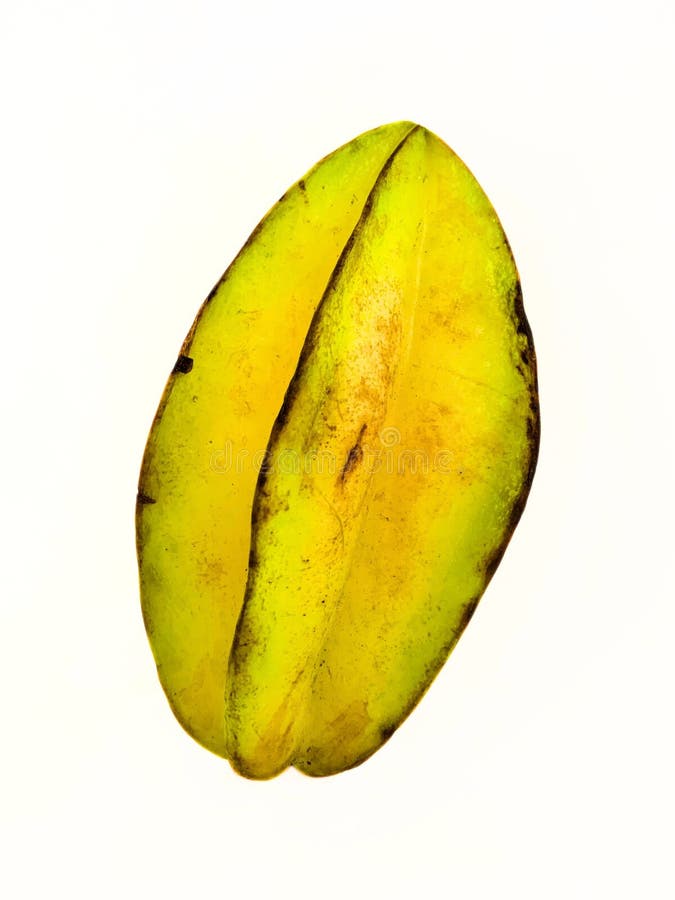 A Close-Up of a Ripe, Yellow Carambola Fruit Isolated on a White ...