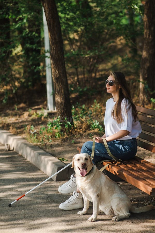 Blind Caucasian Woman Sitting on Bench with Guide Dog. Stock Image ...