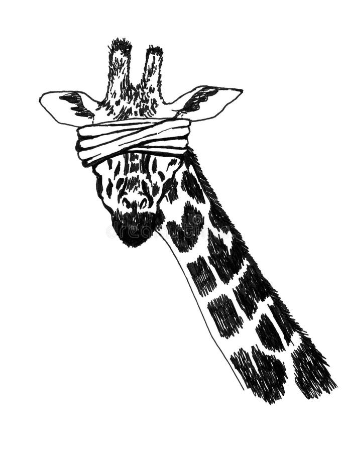 Blind Giraffe Stock Illustrations – 7 Blind Giraffe Stock Illustrations ...