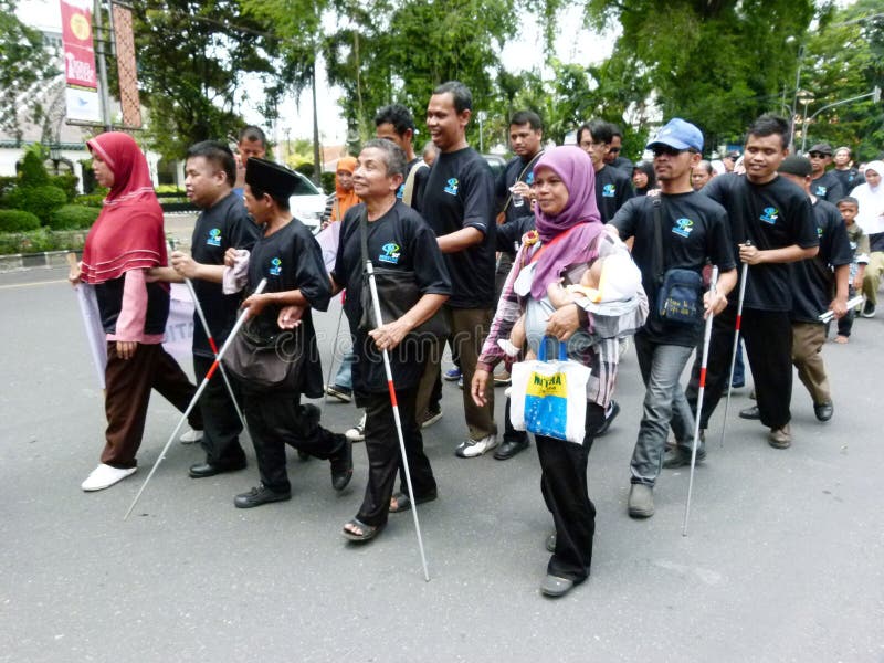 Two Blind People with Their Guide Dogs Editorial Stock Image - Image of ...