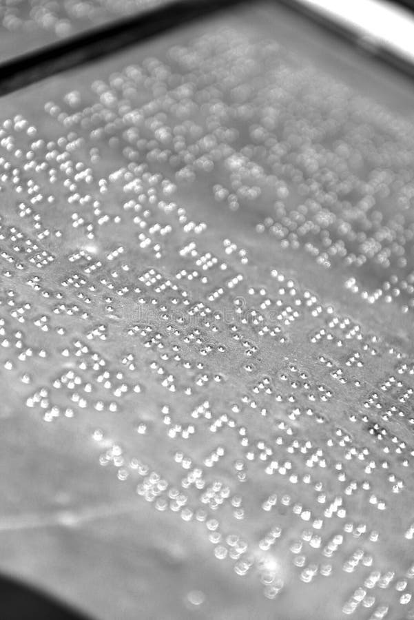 Blind People Read Braille Text Editorial Stock Image - Image of sheet ...