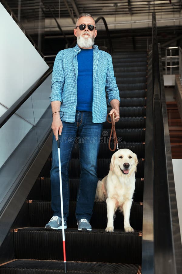 Blind Person with Long Cane and Guide Dog on Escalator Stock Image ...