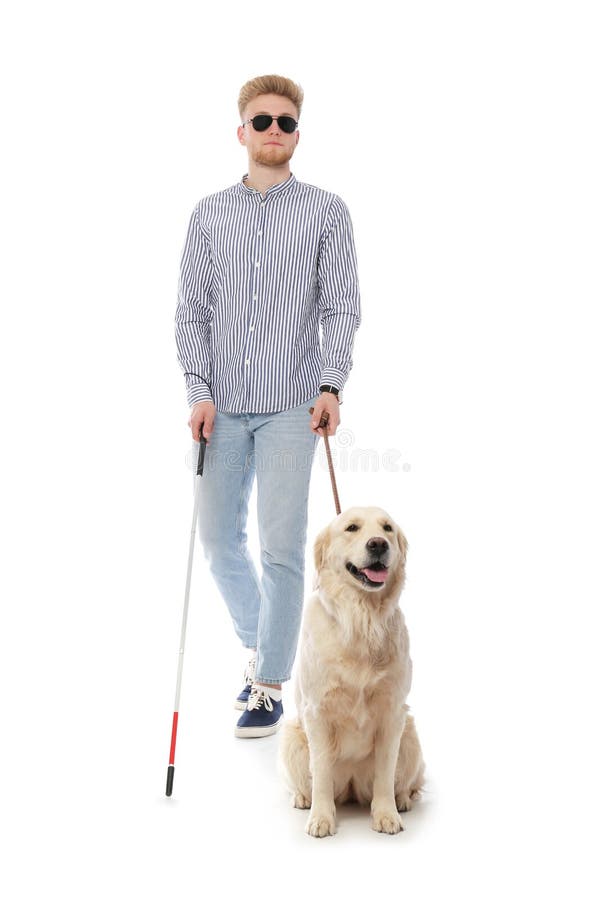 629 Guide Dog White Background Stock Photos - Free & Royalty-Free Stock ...