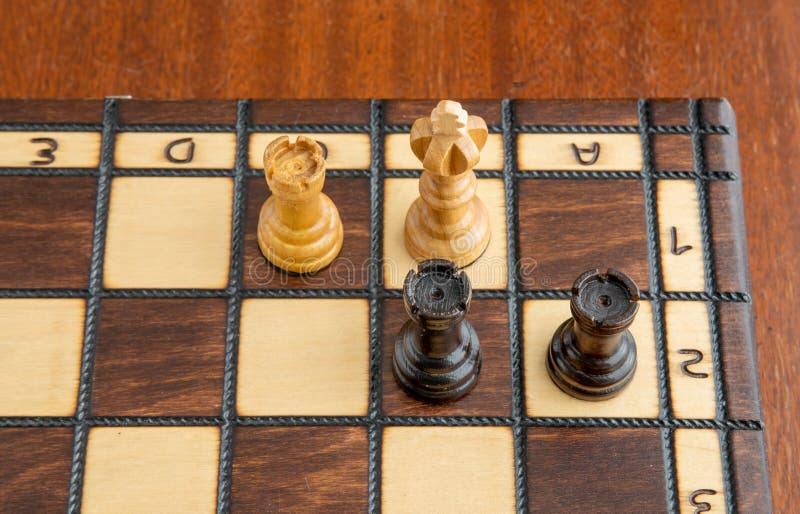 Blind Swine Mate Delivered by Two Rooks Stock Image - Image of winner ...