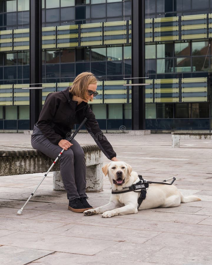 Blind or Visually Impaired Woman Resting with a Guide Dog on the Bench ... Blind or Visually Impaired Woman Resting with a Guide Dog on the Bench ...