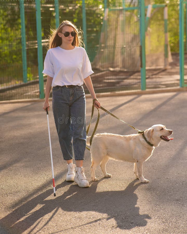 Blind Woman Walking with Guide Dog. Stock Photo - Image of eyeglasses ...