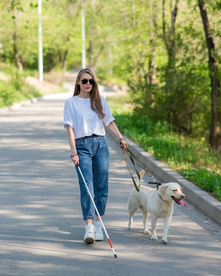 Blind Woman Walking with Guide Dog in the Park. Stock Photo - Image of ...