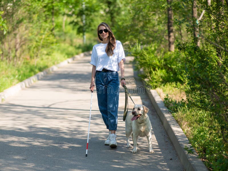 Blind Woman Walking with Guide Dog in the Park. Stock Image - Image of ...