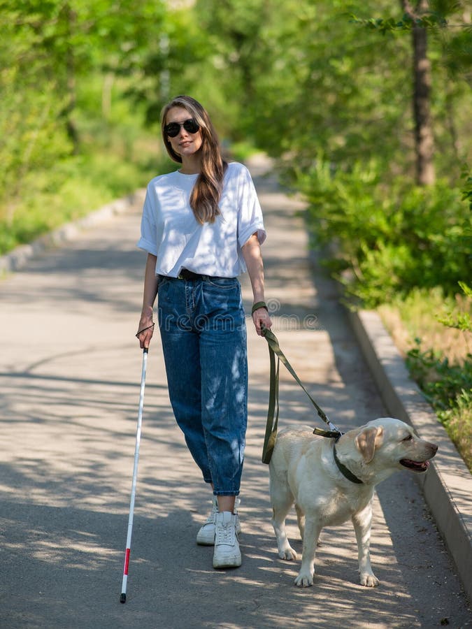 Blind Woman Walking with Guide Dog in the Park. Stock Image - Image of ...