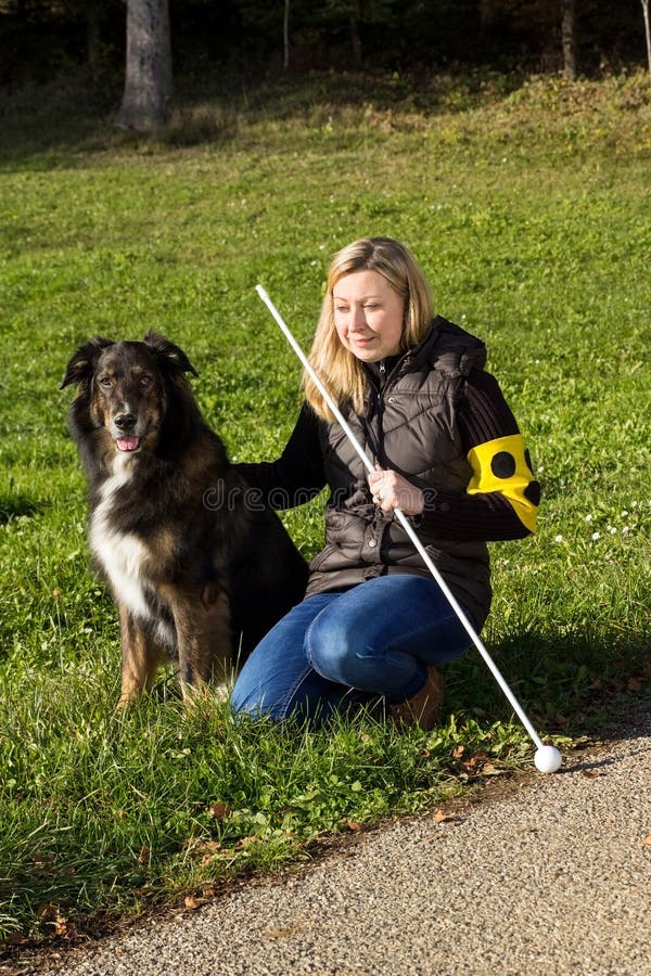 Blindenhund Stockfotos und Bilder - Laden Sie 408 lizenzfreie Fotos ...