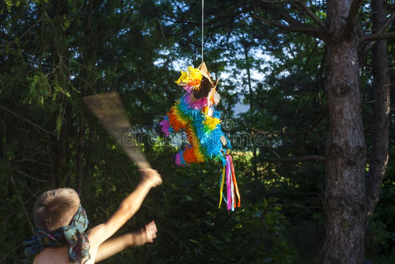 214 Mexican Child Pinata Stock Photos - Free & Royalty-Free Stock ...