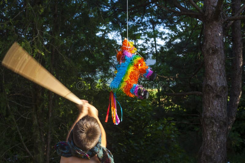 1,043 Pinata Photos - Free & Royalty-Free Stock Photos from Dreamstime