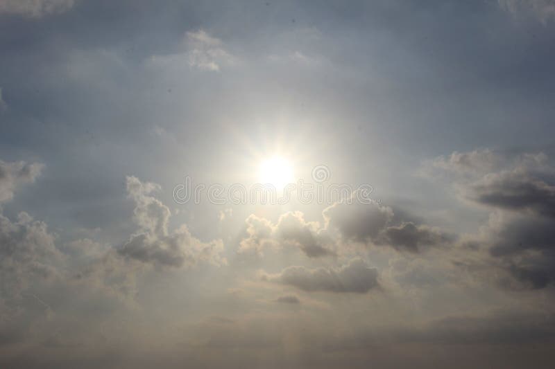 The Blinding Sun Shines Brightly Stock Photo - Image of feathery ...